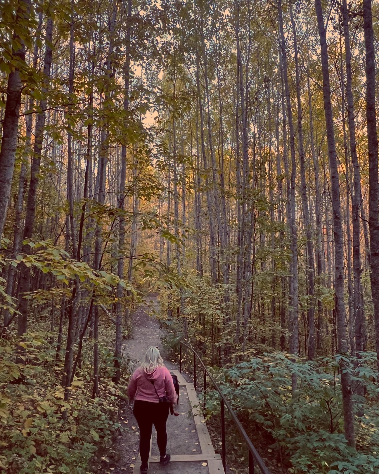 15 Best Spots in Minnesota to See Fall Foliage