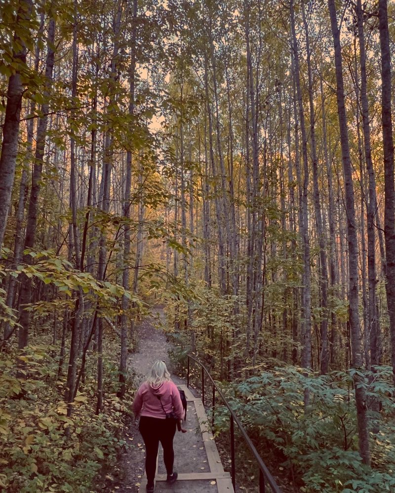 15 Best Spots in Minnesota to See Fall Foliage