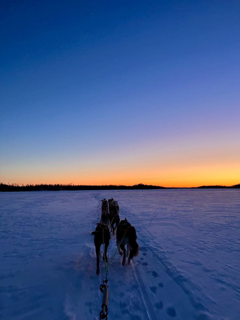 How to Spend a Winter Weekend in Ely, Minnesota