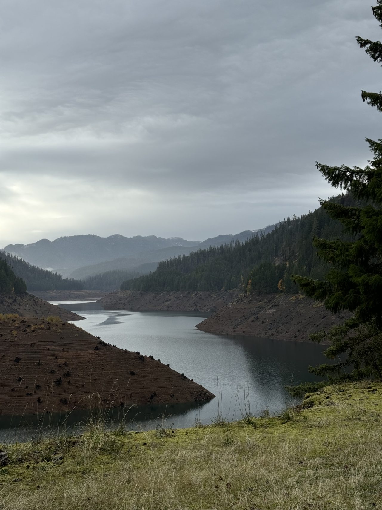 10 Things To Do Along The Mckenzie River in Oregon