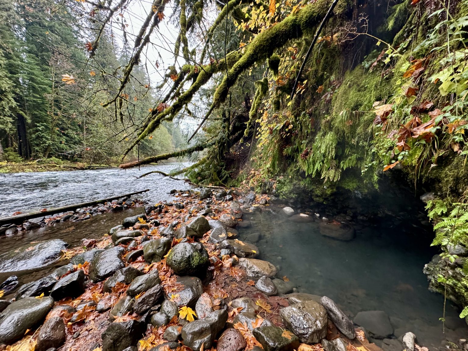 10 Things To Do Along The Mckenzie River in Oregon